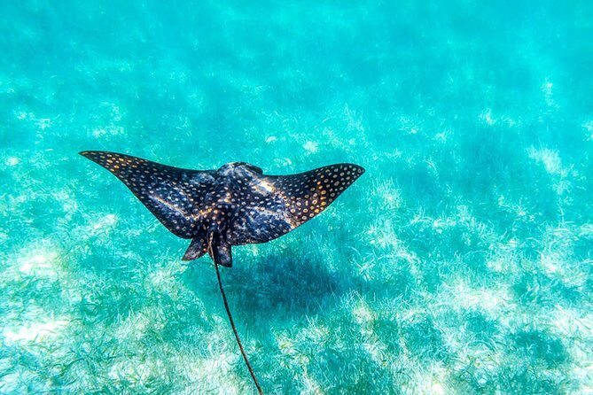 Private tour - Sian Ka´an Adventure - The Practicalities: What You Should Know