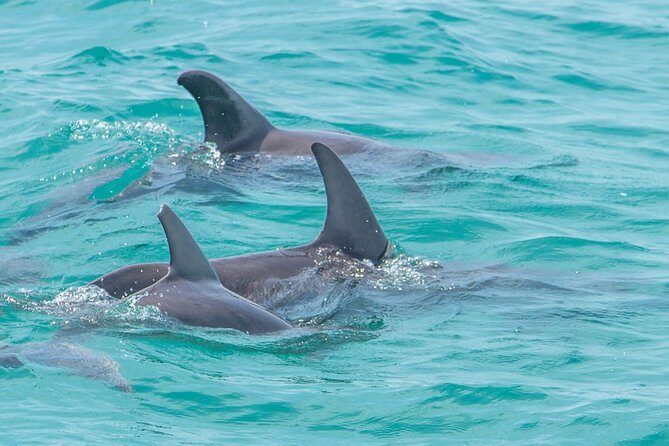 Private tour - Sian Ka´an Adventure - The Sum Up: Who Should Consider This Tour?