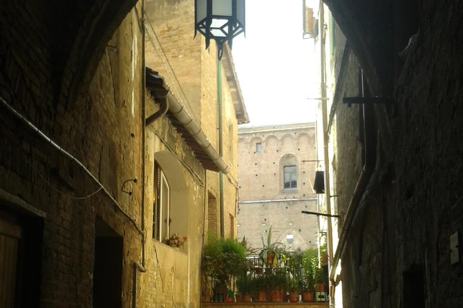 Private Tour: Siena Walking Tour - Meet Your Guide: Silvia Roncucci