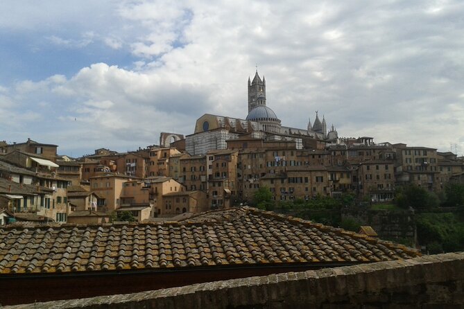 Private Tour: Siena Walking Tour - The Palio: Sienas Legendary Horse Race