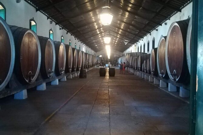 Private Tour Sintra With Wine Tastings - Final Thoughts