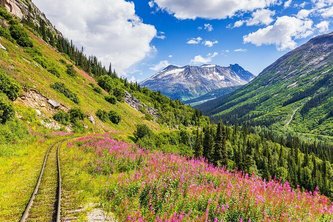 Private Tour Skagway City & Summit - Analyzing the Itinerary: What to Expect from Each Stop