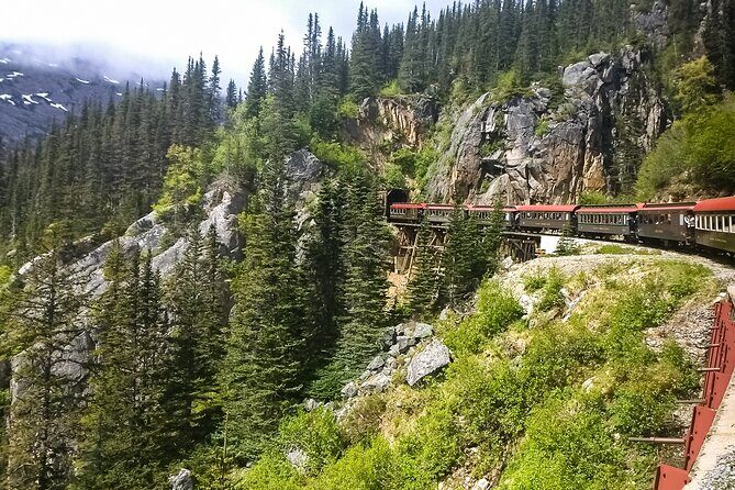 Private Tour Skagway City & Summit - Who Is This Tour Best For?
