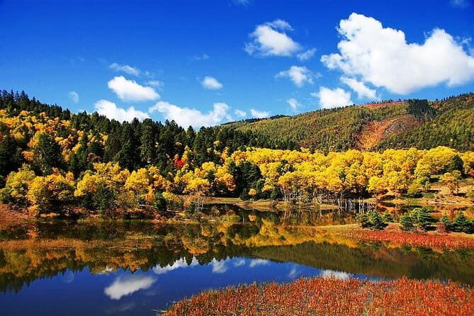 Private tour Songzanlin Monastry & Tibetan lunch from Zhongdian - Final Thoughts