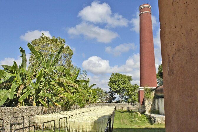 Private Tour: Sotuta de Peon Hacieda Day Trip - An In-Depth Review of the Sotuta de Peon Private Day Trip