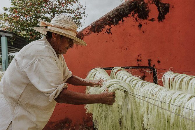 Private Tour: Sotuta de Peon Hacieda Day Trip - The Sum Up