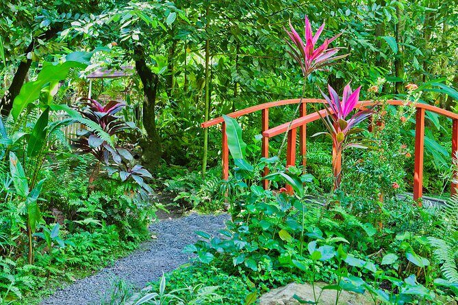 Private Tour St. Lucia Botanical Gardens and Waterfall - Key Points