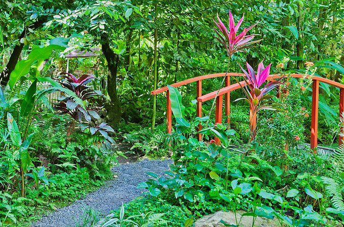 Private Tour St. Lucia Botanical Gardens and Waterfall - FAQs