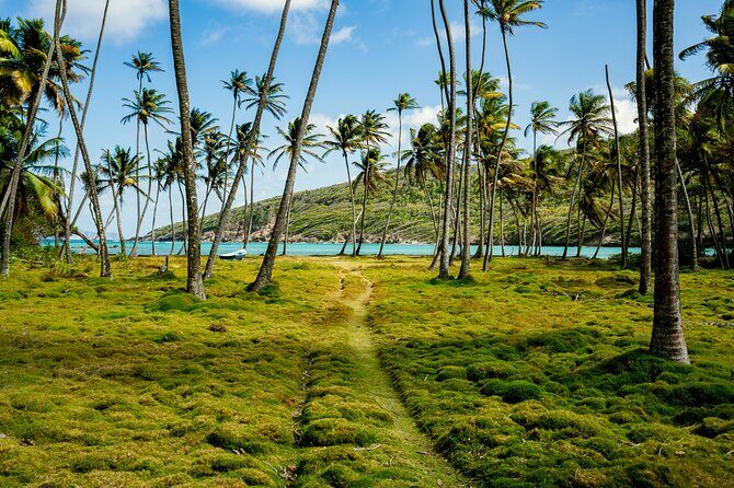 Private Tour St Vincent Half Day - FAQs