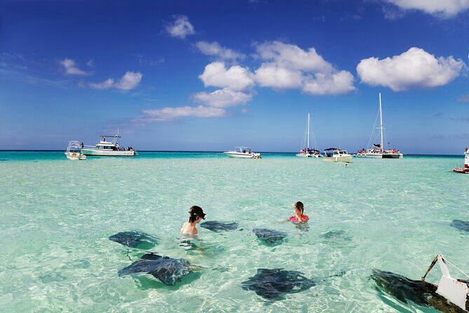 Private Tour Stingray City and One Snorkeling Stop - Is It Worth the Price?