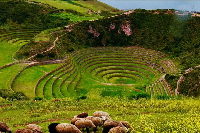 Private Tour Super Sacred Valley ||Chinchero|| Maras || Moray || Ollantaytambo|| - Visiting Pisac