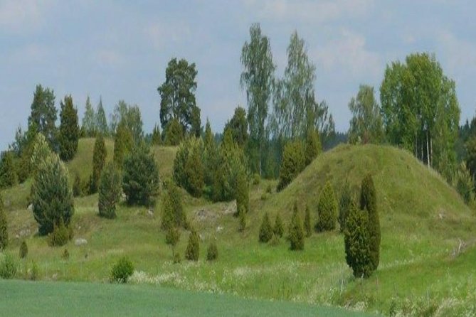 Private Tour: Swedish Iron Age Excursion from Stockholm 3h - Transportation and Convenience
