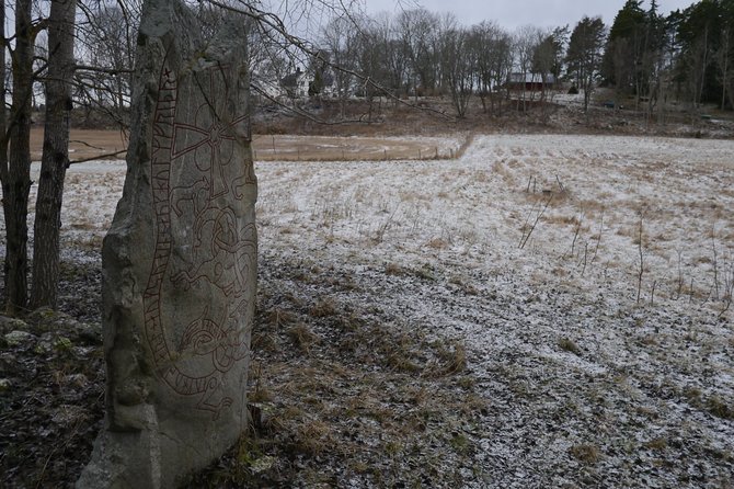 Private Tour: Swedish Iron Age Excursion from Stockholm 3h - Cost and Overall Value