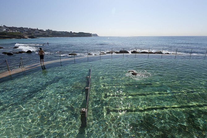 Private Tour: Sydney Beaches, Baths & Rockpools - Who Will Love This Tour?