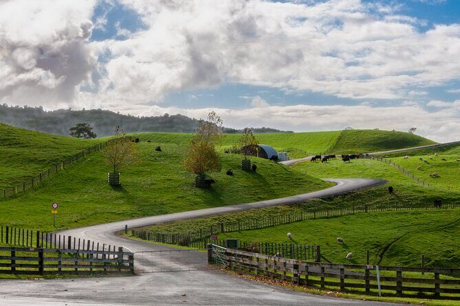 Private Tour Tauranga Magical Hobbiton Movie Set - Who Should Consider This Tour?