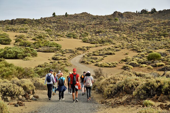 PRIVATE TOUR Teide National Park: Hiking and Stargazing - Stargazing Experience