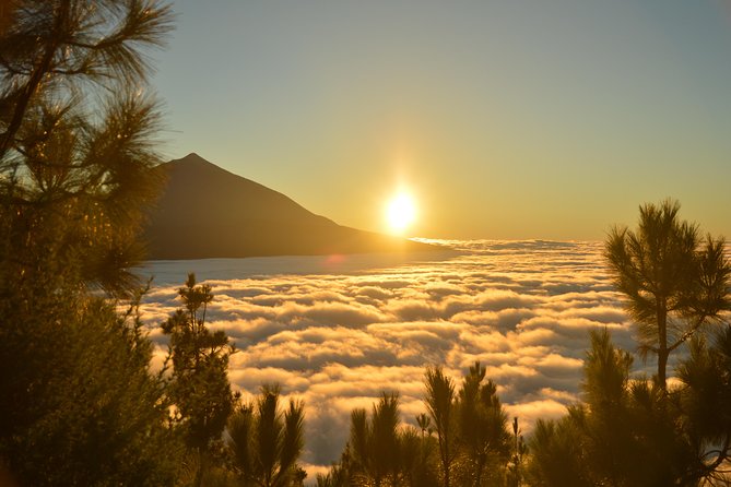 PRIVATE TOUR Teide National Park: Hiking and Stargazing - Tour Requirements and Policies