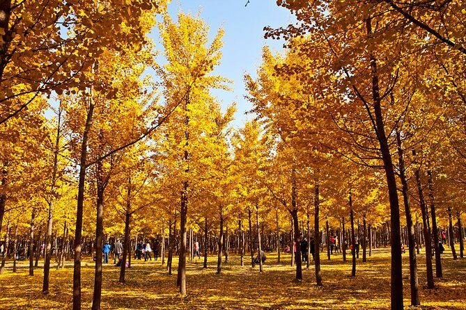 Private Tour: Terracotta Warriors and Han Yang Ling Mausoleum from Xi'an - FAQs