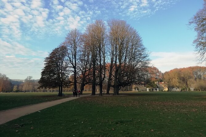 Private Tour Tete D'or - Highlights of the Tour Experience