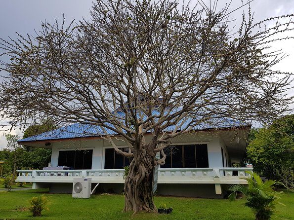Private Tour: Thai Culture& Experience with Buddhism - An In-Depth Look at the Tour
