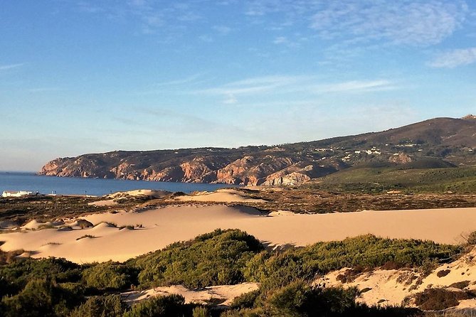 Private tour - The Beautiful Cascais - Frequently Asked Questions