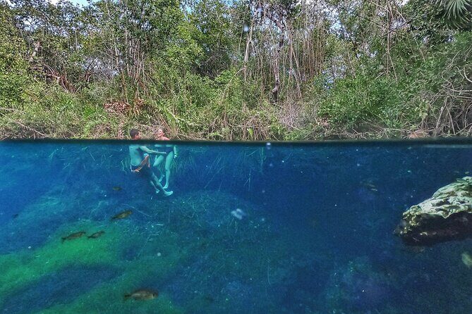 Private Tour The Best Cenotes in Tulum Riviera Maya - Value and Who It’s Best For