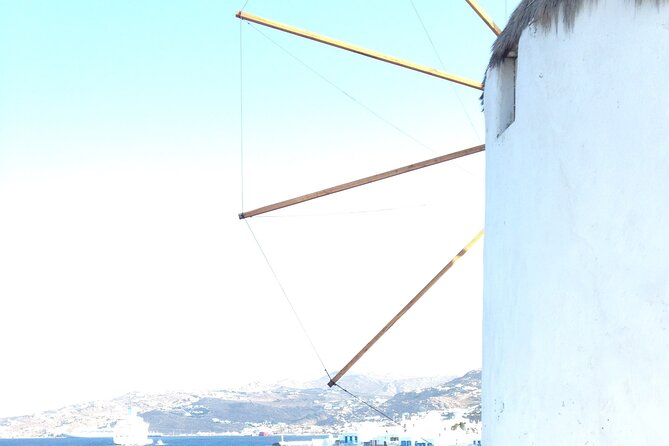 Private Tour: the Best of Mykonos (No Walking) - Inclusions and Accessibility