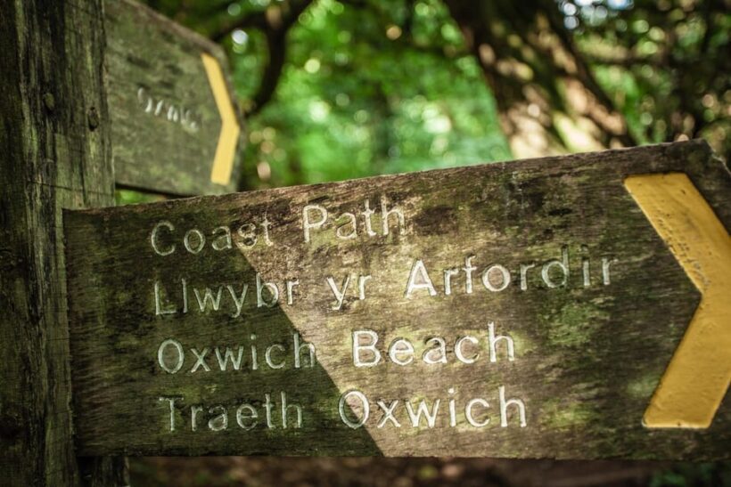Private Tour: The Gower - Mumbles, Three Cliffs & Worms Head - Key Points