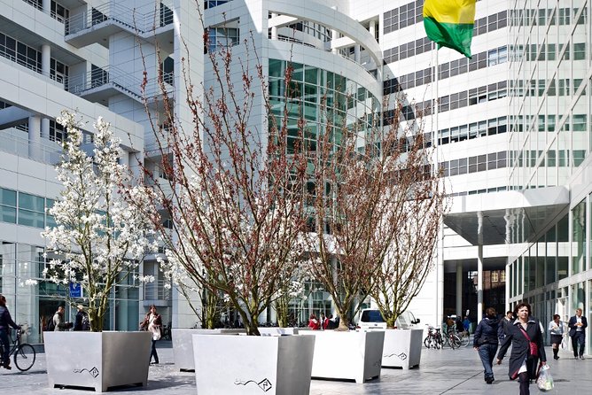 Private Tour: The Hague Walking Tour Including Peace Palace Visitors Center - FAQ