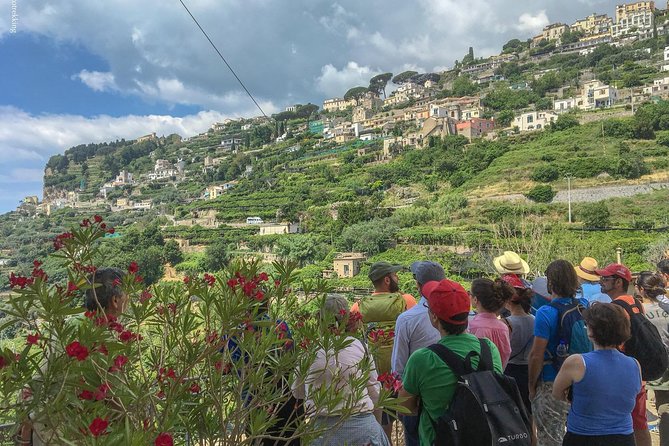 Private Tour: The Path of the Lemons - Guest Reviews and Feedback