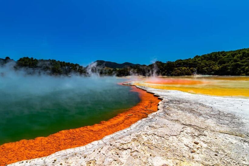 Private Tour: The Rocky Rotorua (Flexible) - Key Points