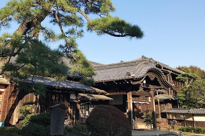 Private Tour - Thousands of Lucky Cats! Go by Tram, Gotokuji Tour - Costs and Inclusions