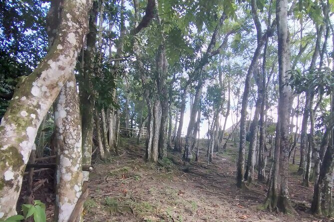 Private Tour Through Jamaican Countryside to Benta River Falls - FAQs