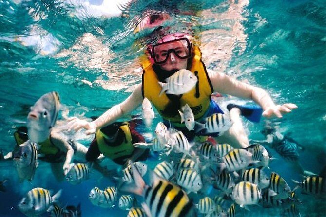 Private Tour: Tioman Island (Sribuat) Reef Snorkel & Summit Hike from Singapore - Key Points