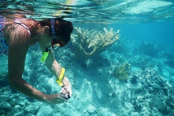 Private Tour: Tioman Island (Sribuat) Reef Snorkel & Summit Hike from Singapore - What the Reviews Say