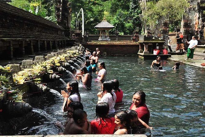 Private Tour: Tirta Empul, Tukad Cepung Waterfall & Penglipuran Village - The Practical Side: Price and Value