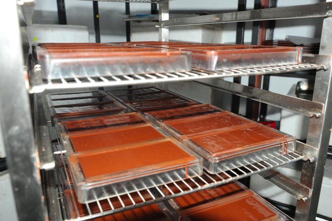 Private Tour to Aelan Chocolate Factory in Port Vila - What You Can Expect from the Tour
