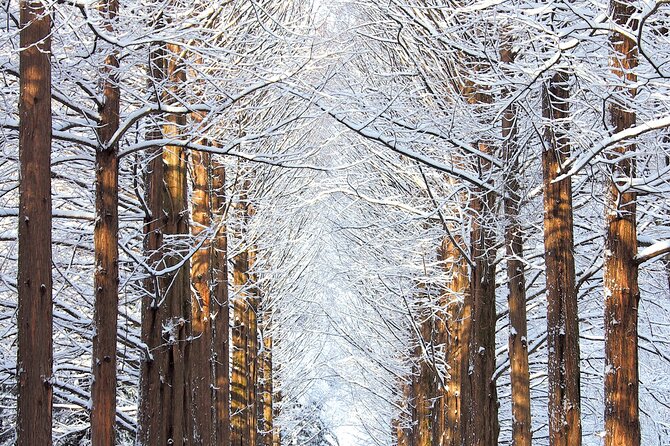 Private Tour to Alpaca world &Nami Island& Railbike with Tickets - FAQ