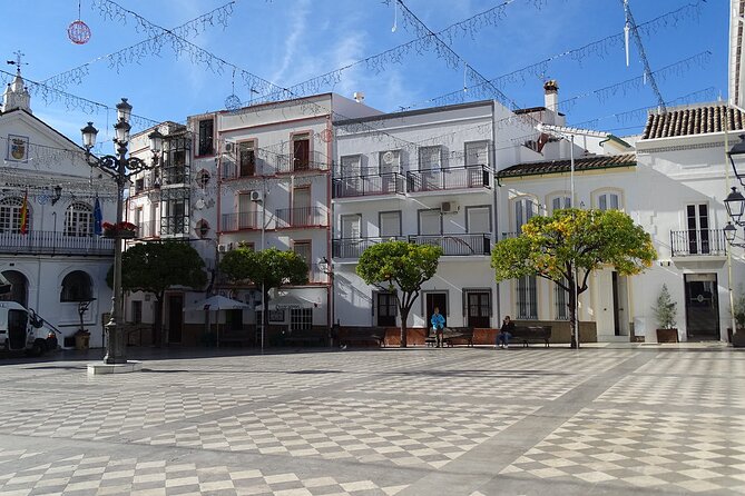 Private Tour to Arcos de la frontera, El Bosque and Ubrique from Cadiz - What Travelers Say