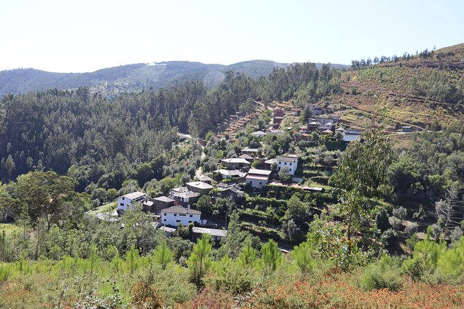 Private Tour to Arouca 516 Bridge and Passadiços do Paiva - Practical Details and What to Expect