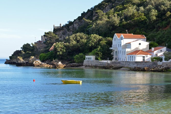 Private Tour to Arrabida Sesimbra and Setubal with Wine Tasting - Who Will Love This Tour?