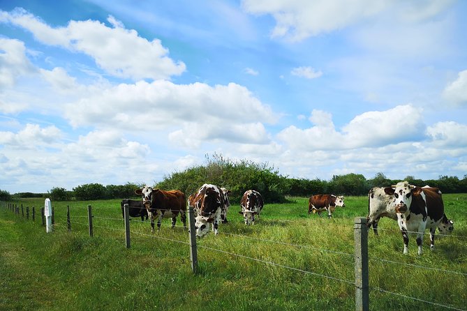 Private Tour to Bayeux, Honfleur and Pays d' Auge from Caen - Frequently Asked Questions