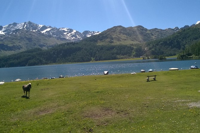 Private Tour to Bernina Train & Lake Como. Hotel Pick-Up - Getting to the Bernina Express