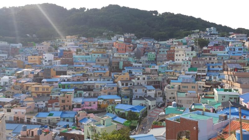 Private tour to Busan, the Marseille of Korea - Key Points