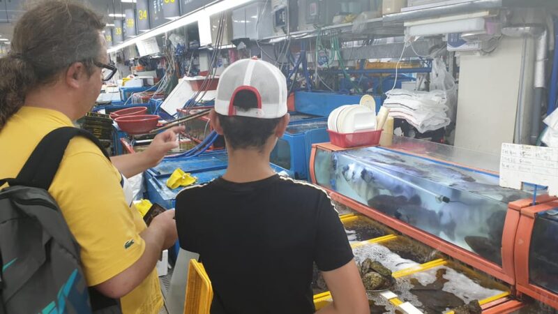 Private tour to Busan, the Marseille of Korea - The Itinerary in Detail