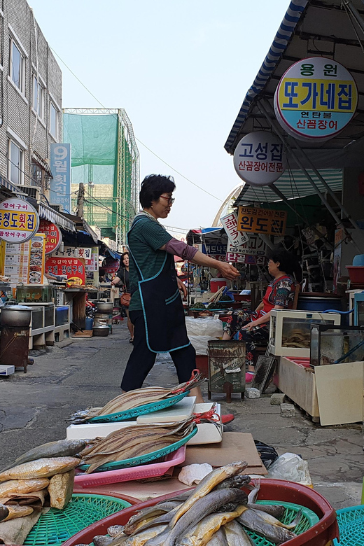 Private tour to Busan, the Marseille of Korea - Cost and Value