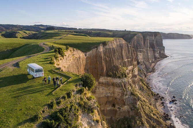 Private tour to Cape Kidnappers Gannet Colony - An Authentic Adventure: What’s Included and How It Unfolds