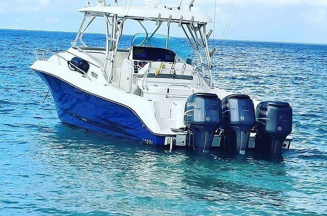 Private Tour to Cayo Icacos and Palomino Island - FAQs