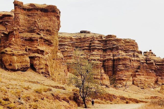 Private Tour to Charyn Canyons - An In-Depth Look at the Charyn Canyon Tour