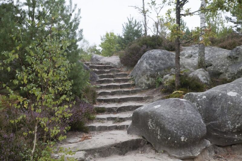 Private tour to Chateaux of Fontainebleau from Paris - The Surrounding Park and Nature